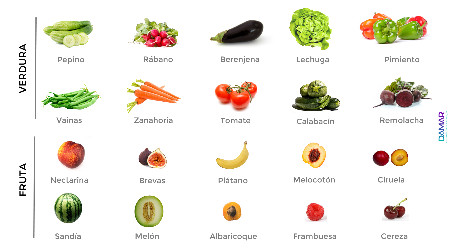 Frutas, verduras y hortalizas: mes de Junio Frutas, verduras y hortalizas: mes de Junio